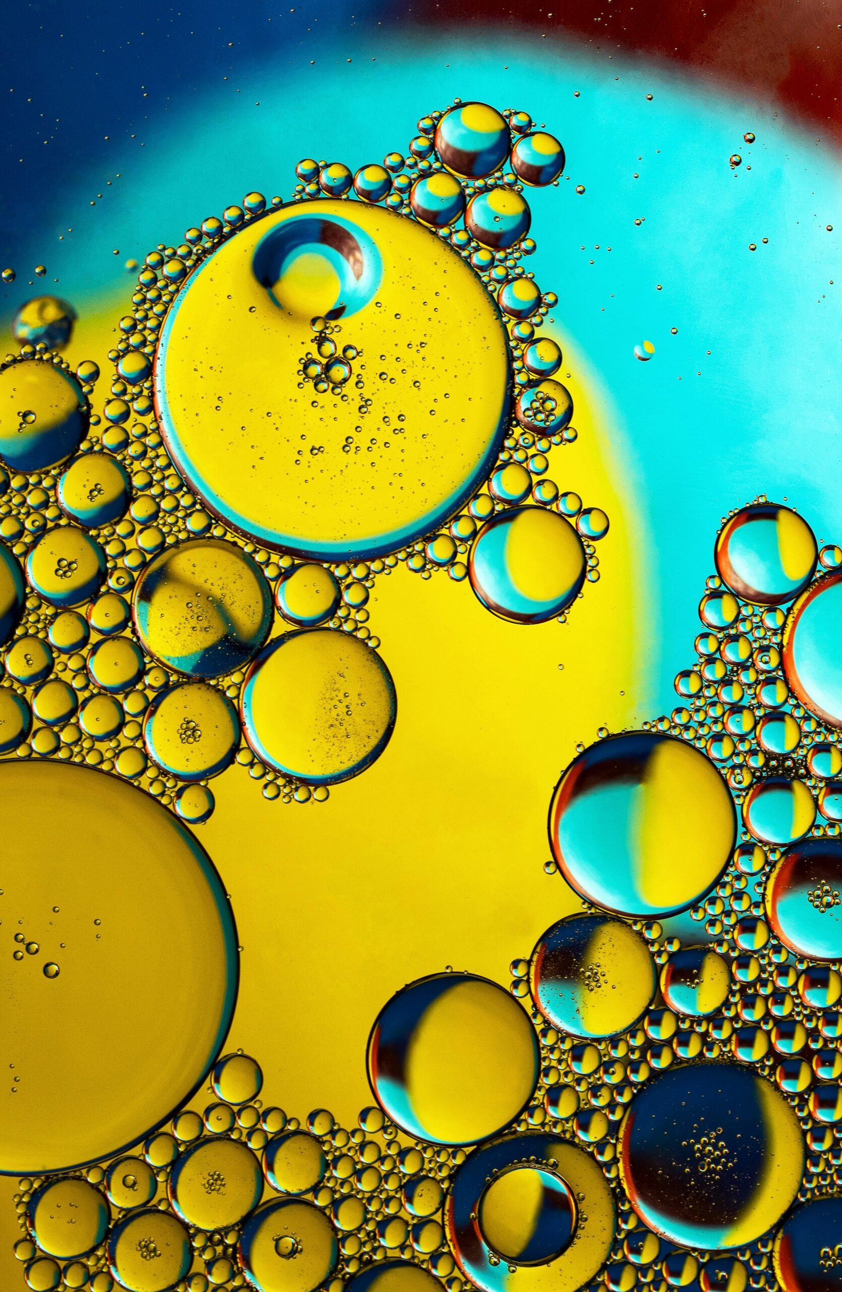 Nexus W2V | Bioenergy Solutions, Anaerobic Digestion & Recycling